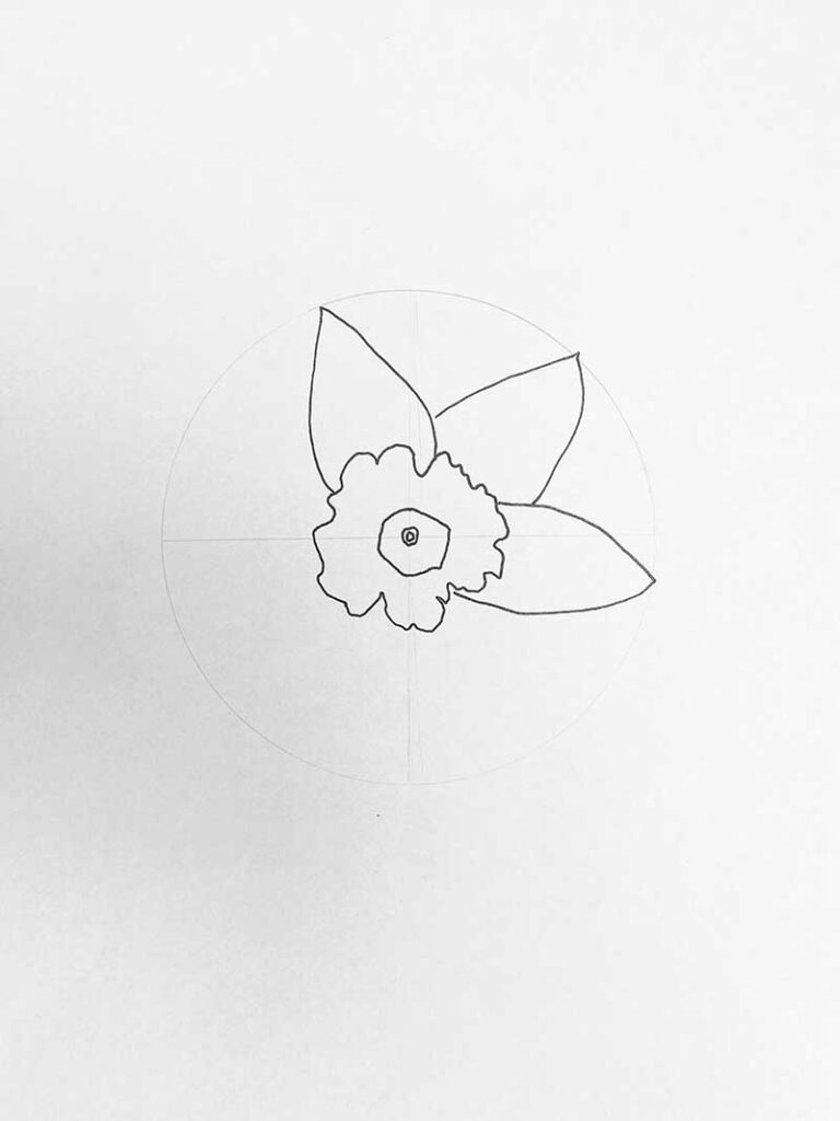 How to Draw a Daffodil from Multiple Views - Picture Box Blue