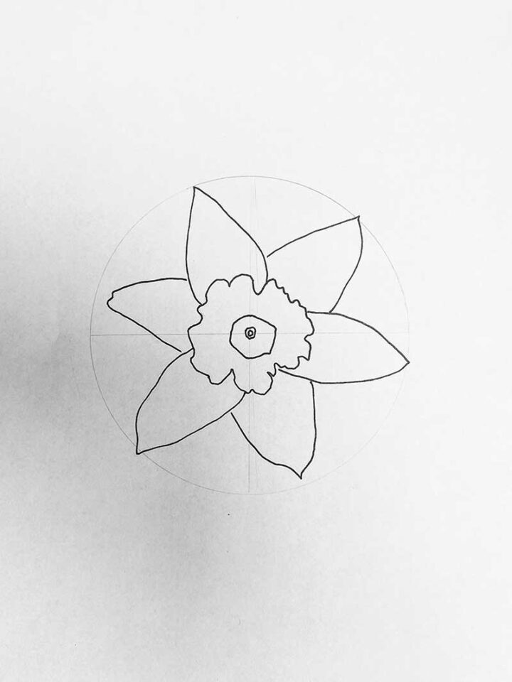 How to Draw a Daffodil from Multiple Views - Picture Box Blue