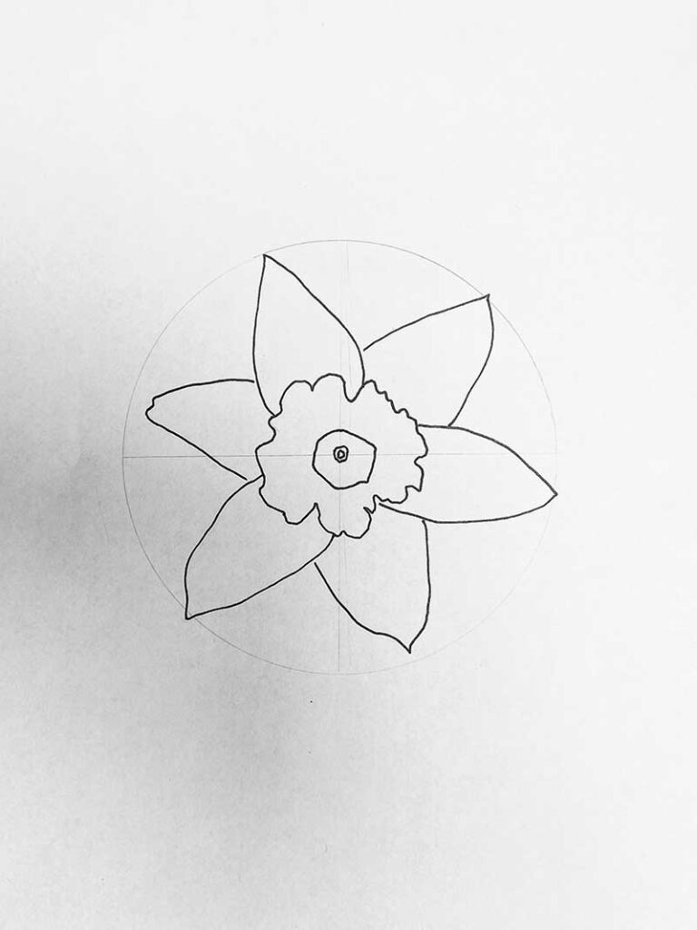 How to Draw a Daffodil from Multiple Views - Picture Box Blue