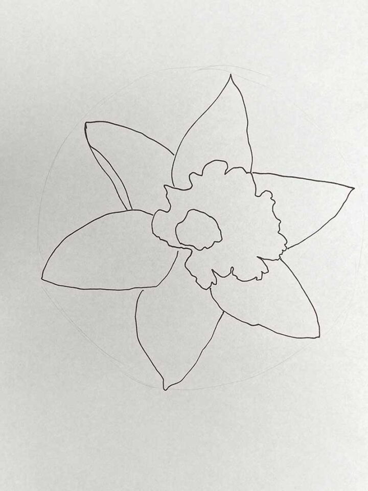 How to Draw a Daffodil from Multiple Views - Picture Box Blue