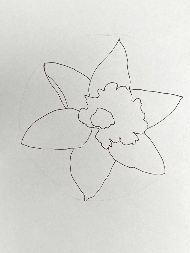 How to Draw a Daffodil from Multiple Views - Picture Box Blue