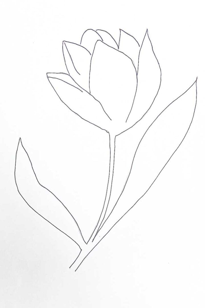 Easy How To Draw Tulips: Step-by-Step Guide with Watercolors - Picture ...