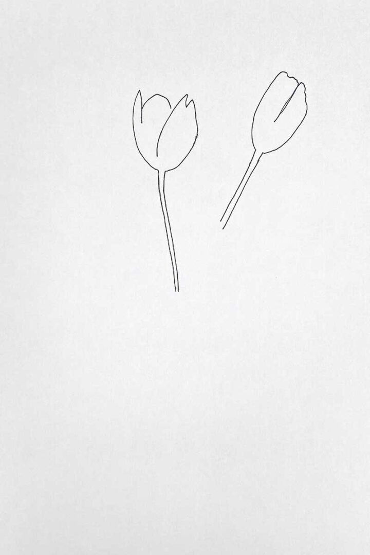 Easy How To Draw Tulips: Step-by-Step Guide with Watercolors - Picture ...