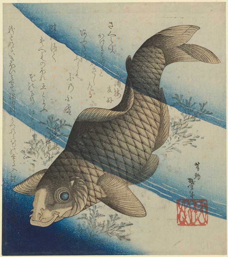 21 Gorgeous Free Japanese Woodblock Fish Prints for Art Lovers ...