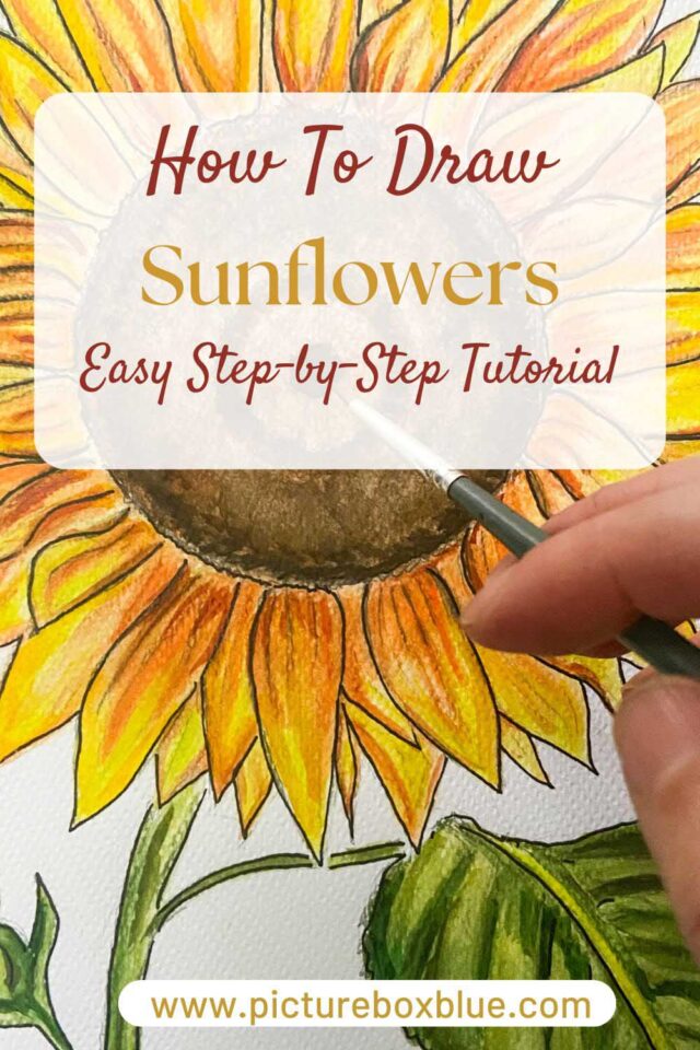 Easy Step-by-Step Guide to Drawing a Beautiful Sunflower - Picture Box Blue