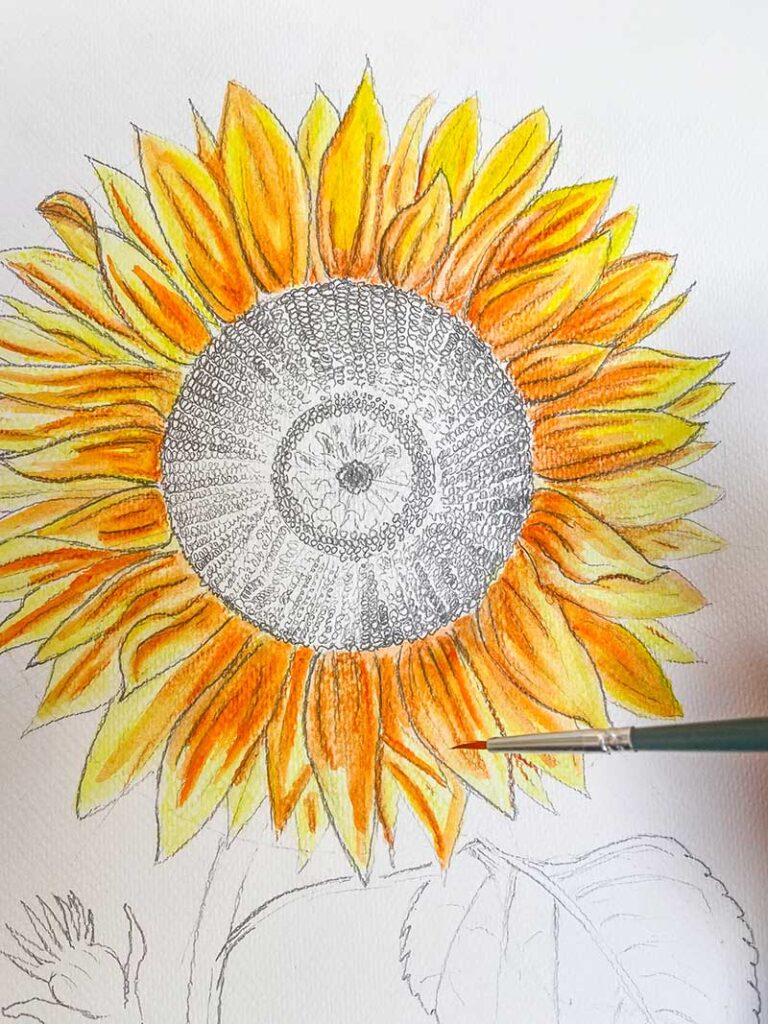 Easy Step-by-Step Guide to Drawing a Beautiful Sunflower - Picture Box Blue