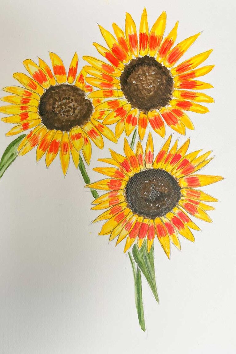 Easy Step-by-Step Guide to Drawing a Beautiful Sunflower - Picture Box Blue
