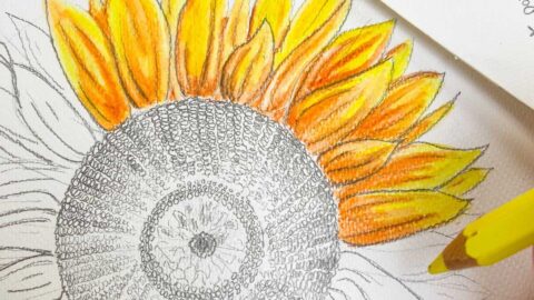 How To Draw Botanicals, Flowers & Plants - Picture Box Blue