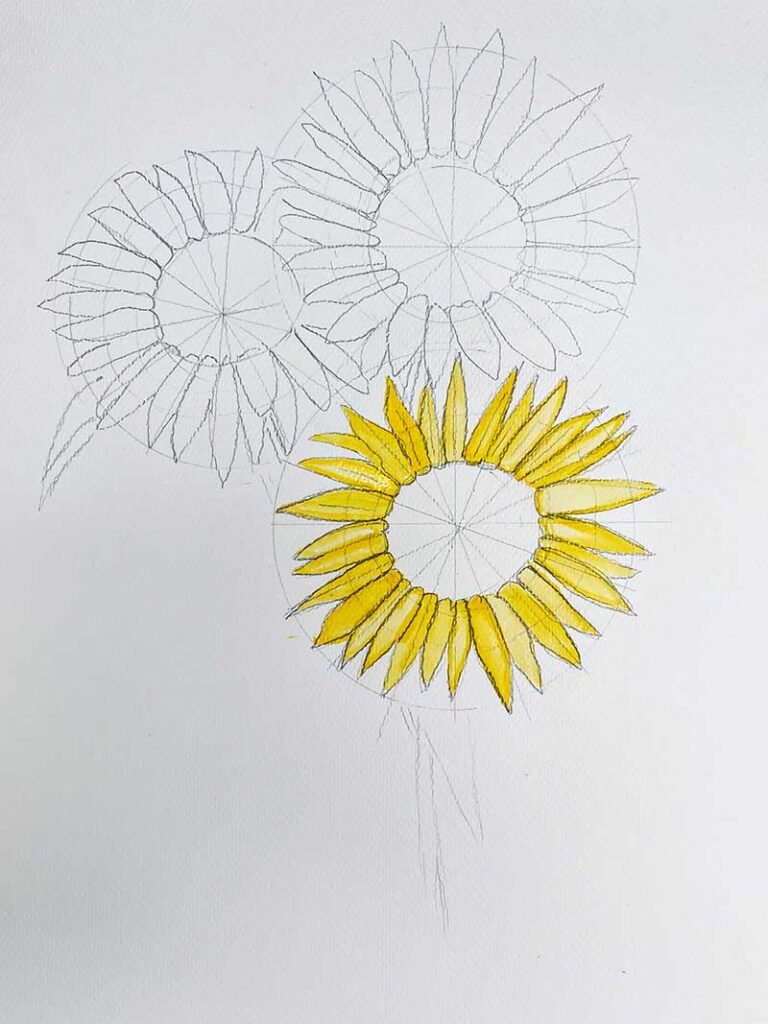 Easy Step-by-Step Guide to Drawing a Beautiful Sunflower - Picture Box Blue