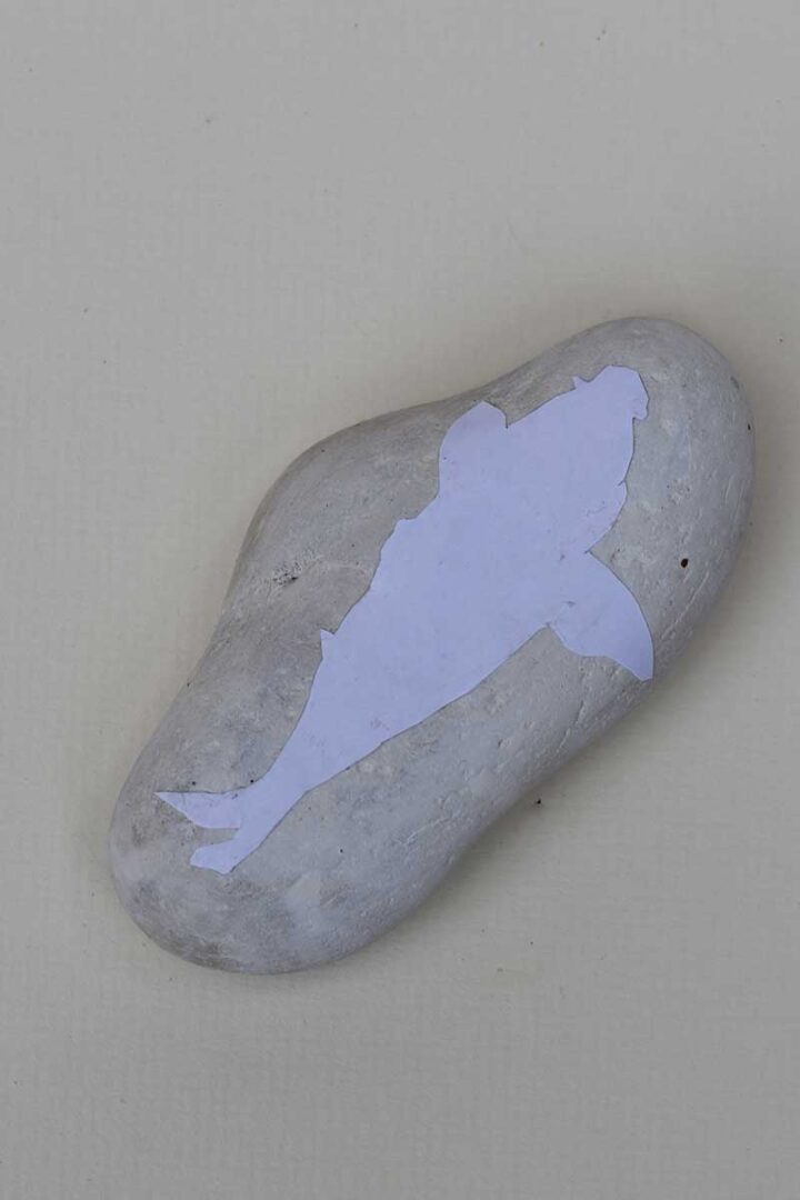 Print Onto Rocks: Transform Stones with Vintage Images or Photos ...