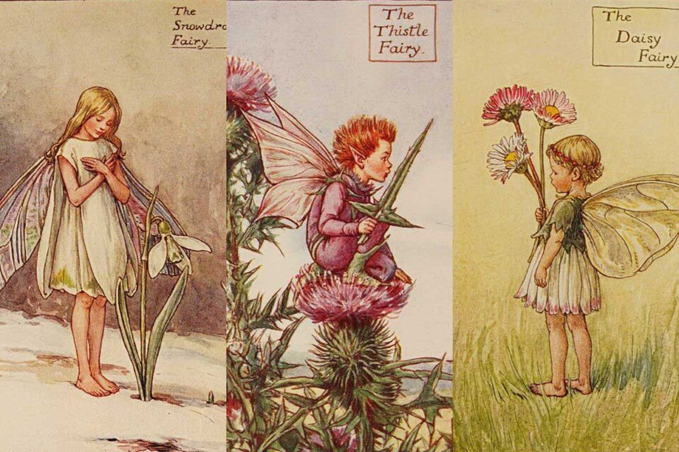 Free Vintage Botanical Prints - Pictureboxblue - Picture Box Blue