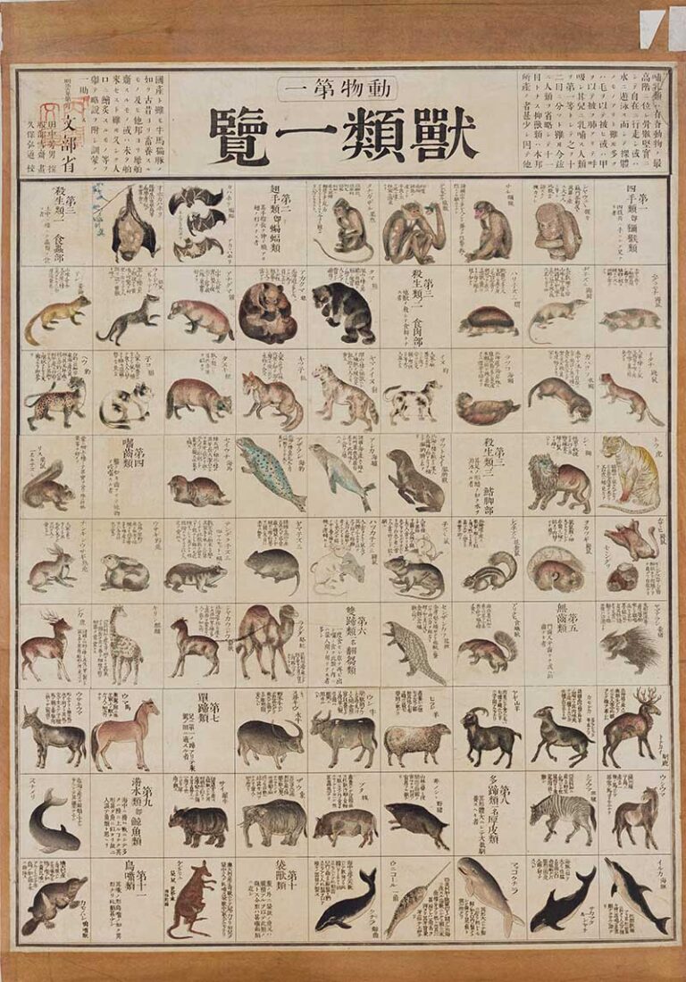 Japanese Nature Charts from the Meiji Era – Plants & Animals - Picture ...