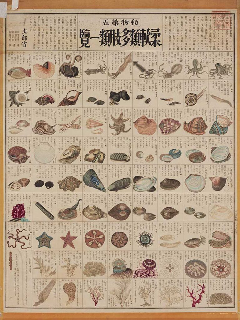 Japanese Nature Charts from the Meiji Era – Plants & Animals - Picture ...