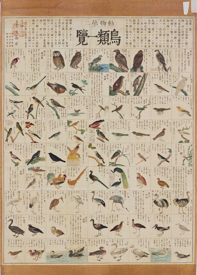 Japanese Nature Charts from the Meiji Era – Plants & Animals - Picture ...