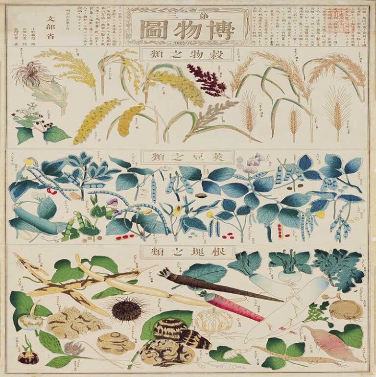 Japanese Nature Charts from the Meiji Era – Plants & Animals - Picture ...