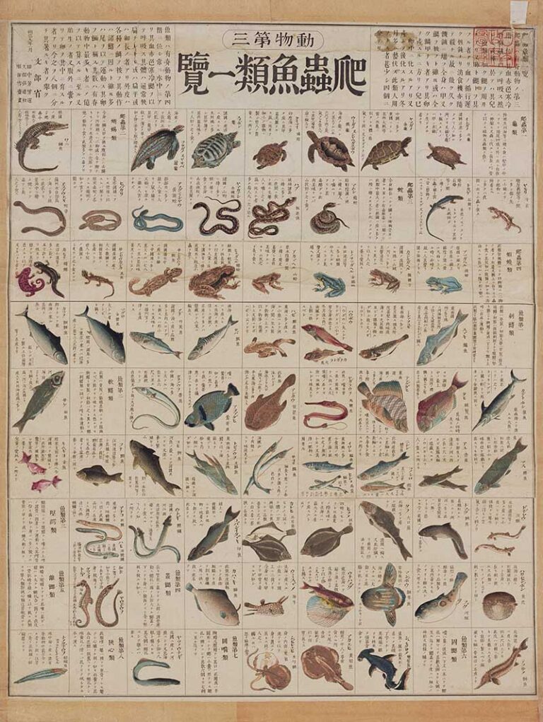 Japanese Nature Charts from the Meiji Era – Plants & Animals - Picture ...